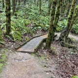Cooks Butte Loop, Oregon - 399 Reviews, Map | AllTrails