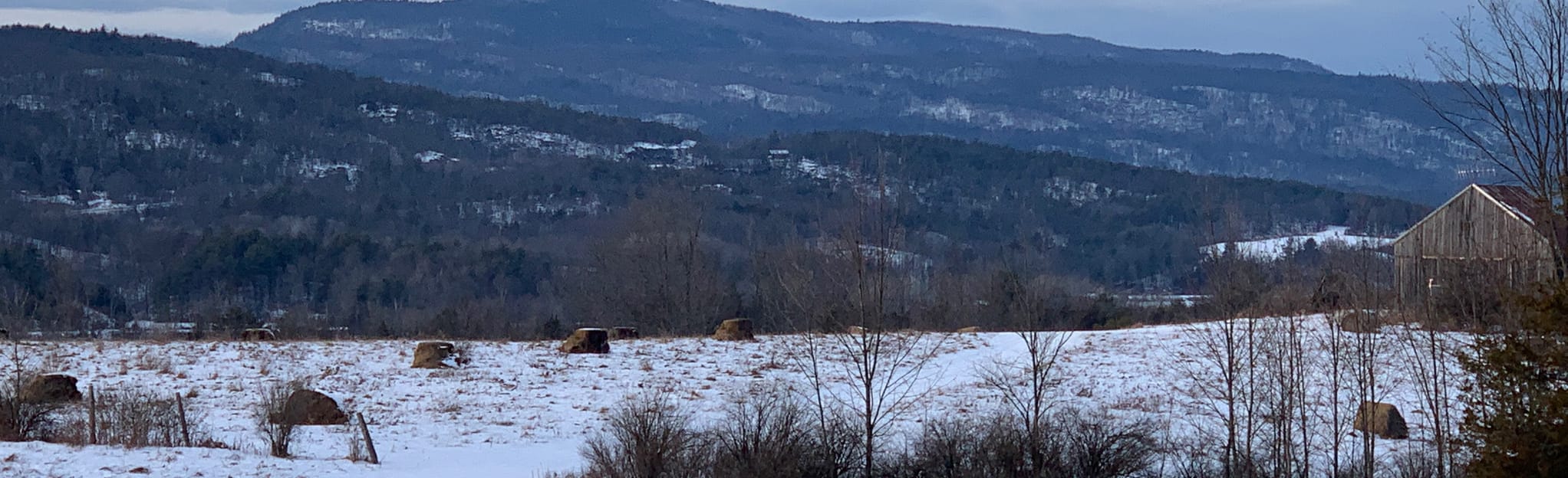 Susan Bacher Memorial Trail: 11 Reviews, Map - Vermont | AllTrails