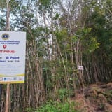 Bukit Panau, Kelantan, Malaysia - 25 Reviews, Map | AllTrails