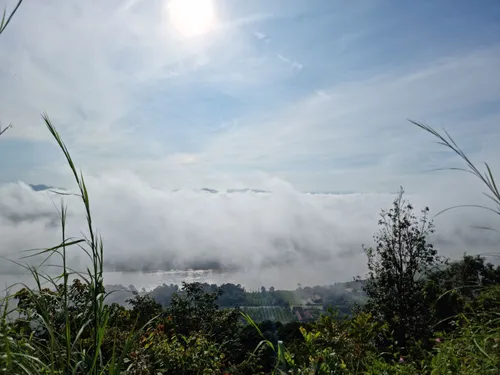 Best Hikes and Trails in Bukit Panau Recreational Forest | AllTrails