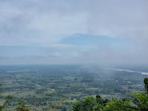 Best Hikes and Trails in Bukit Panau Recreational Forest | AllTrails