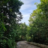 Bukit Panau, Kelantan, Malaysia - 15 Reviews, Map | AllTrails
