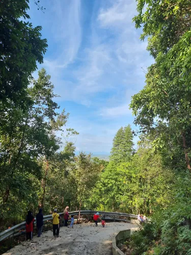 Best Hikes and Trails in Bukit Panau Recreational Forest | AllTrails