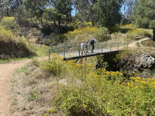 Best Hikes and Trails in Pine Island - Point Hut | AllTrails