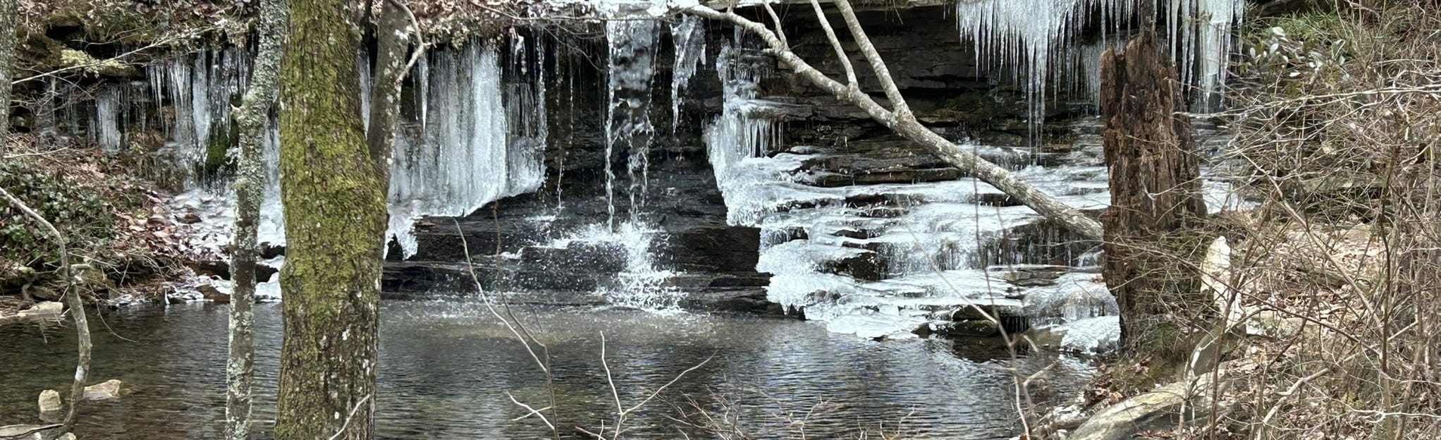 Laurel Falls from Lost Falls Trailhead - Alabama | AllTrails
