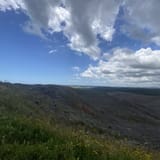 Riverhead Forest Loop Track, Auckland, New Zealand - 65 Reviews, Map ...