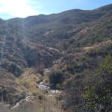 Rogers Canyon Trail via Reavis Ranch Trail, Arizona - 309 Reviews, Map ...