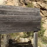 Rogers Canyon Trail via Reavis Ranch Trail, Arizona - 324 Reviews, Map ...