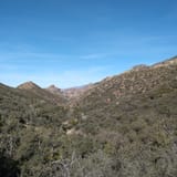 Rogers Canyon Trail via Reavis Ranch Trail, Arizona - 309 Reviews, Map ...