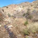 Rogers Canyon Trail via Reavis Ranch Trail, Arizona - 309 Reviews, Map ...