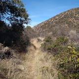 Rogers Canyon Trail via Reavis Ranch Trail, Arizona - 309 Reviews, Map ...