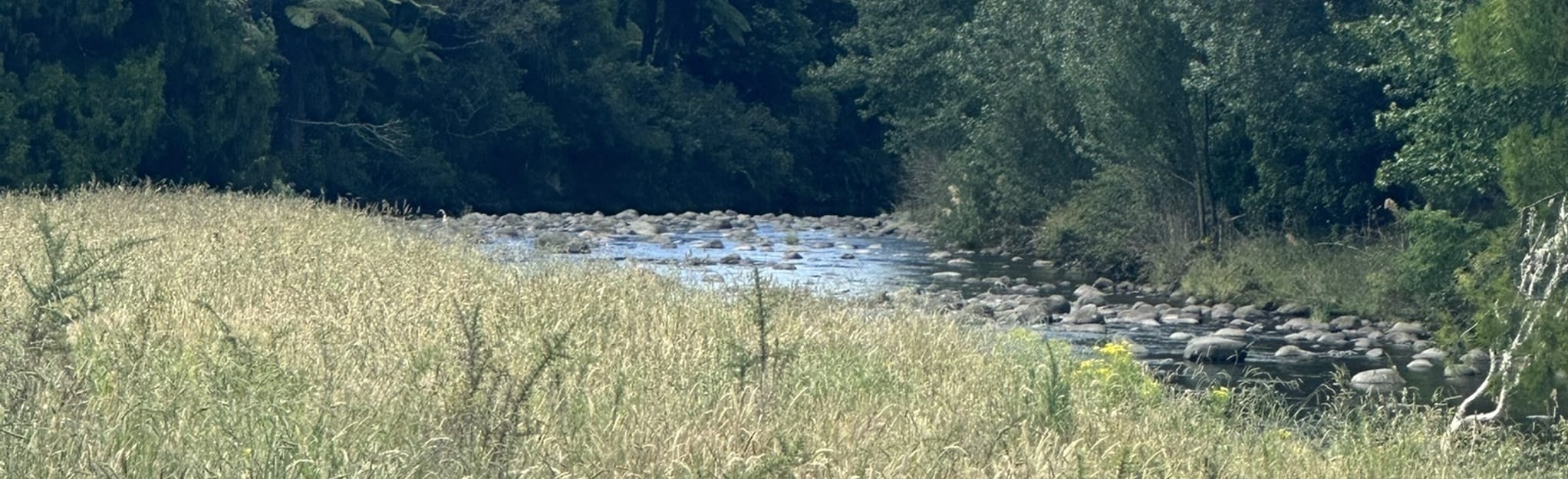 Waitawheta Hut Loop Track: 5 Reviews, Map - Waikato, New Zealand ...