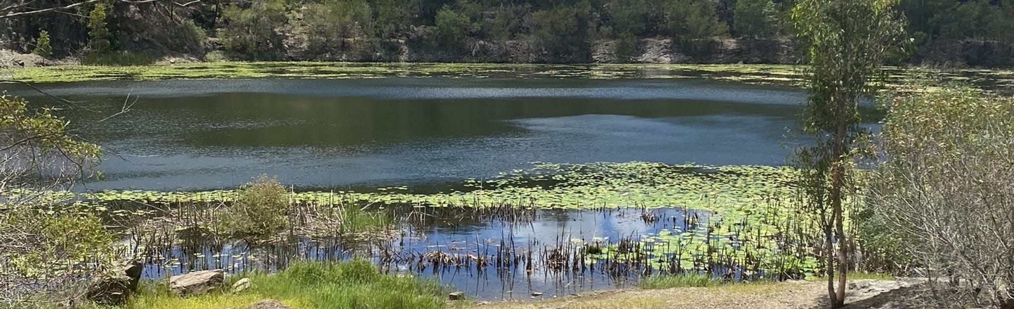 Daisy Hill Circuit via Neville Lawrie Reserve: 473 foto's - Queensland ...