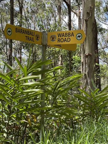 Best Hikes and Trails in Mooball National Park | AllTrails