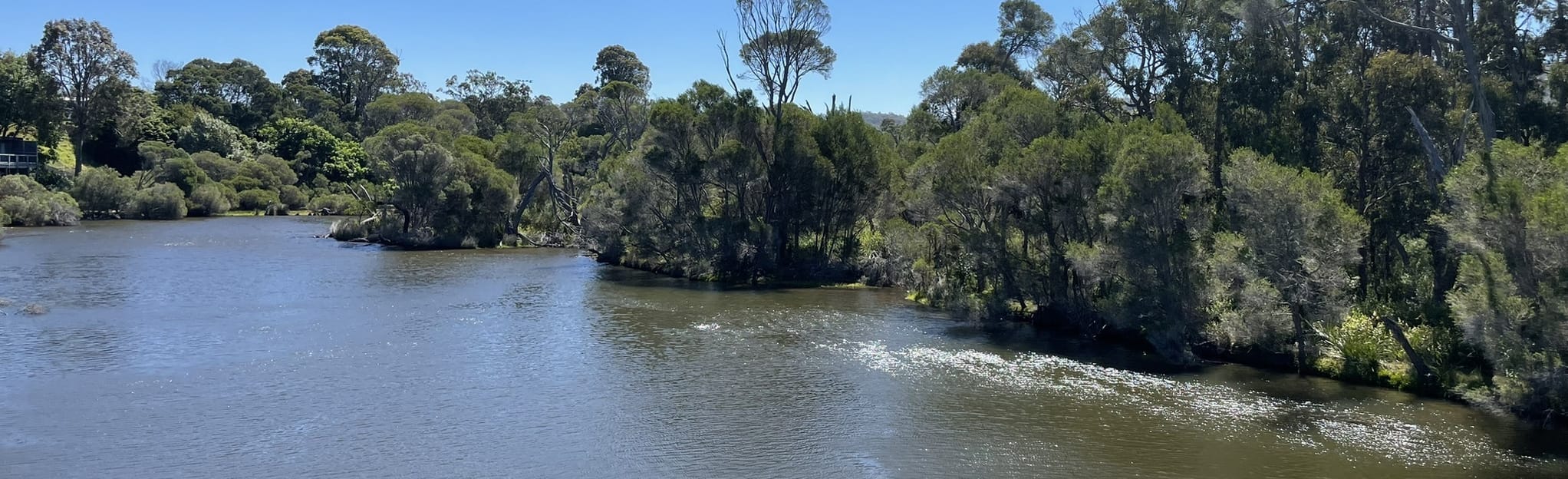 Back Lake Lagoon Loop, New South Wales, Australia - 29 Reviews, Map ...