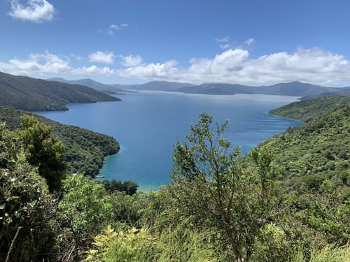 2023 Best 10 Trails and Hikes in Picton | AllTrails