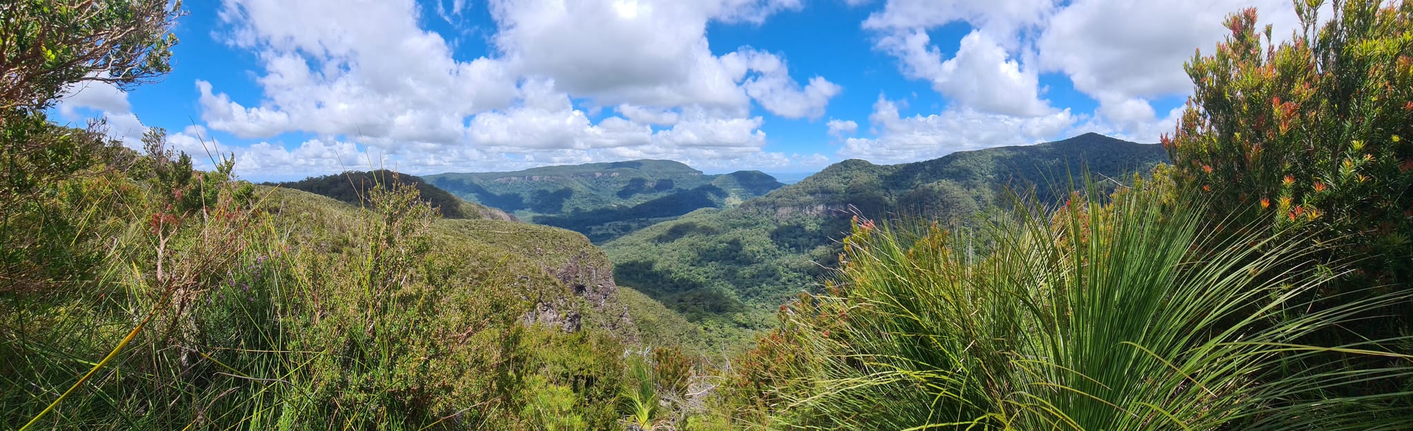 Surprise Rock via Dave's Creek Circuit: 612 Reviews, Map - Queensland ...