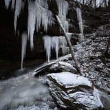 Fall Hollow Falls Trail, Tennessee - 173 Reviews, Map | AllTrails