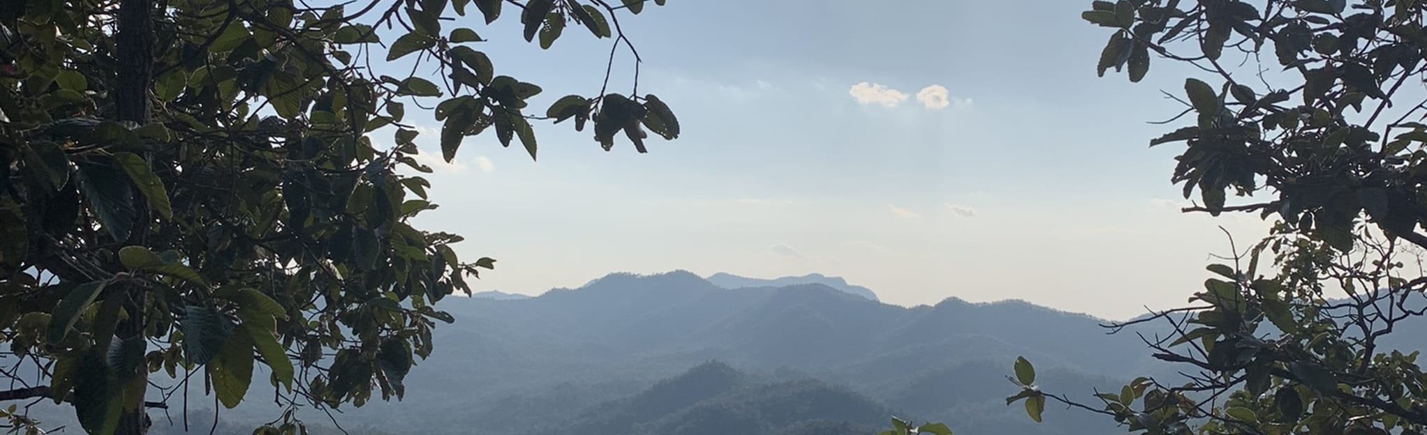 Mon Jing Loop: 208 Zdjęcia – Prowincja Chiang Mai, Tajlandia | AllTrails