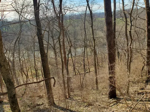 Best Hikes and Trails in Windolph Landing Preserve | AllTrails