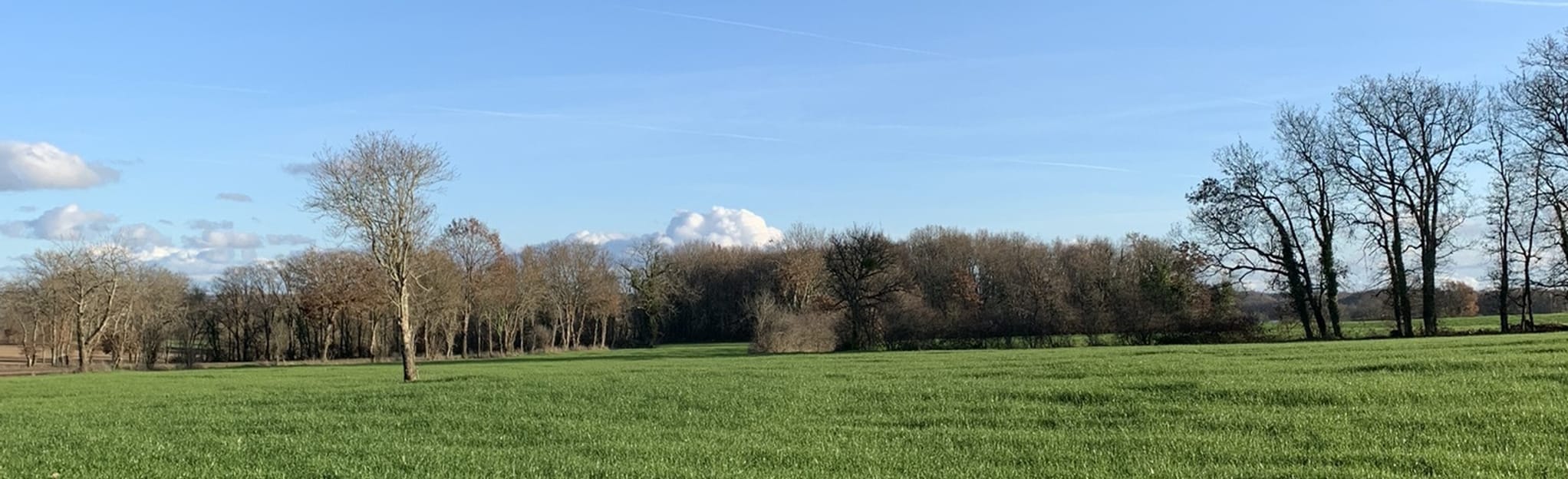 Saint-Léon-d'Issigeac Loop, Dordogne, France - 5 Reviews, Map | AllTrails