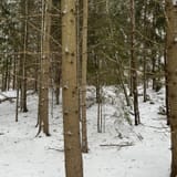 Arkell Springs Loop Trail, Ontario, Canada - 159 Reviews, Map | AllTrails