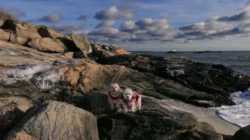Best Hikes and Trails in Waterford Beach Park | AllTrails