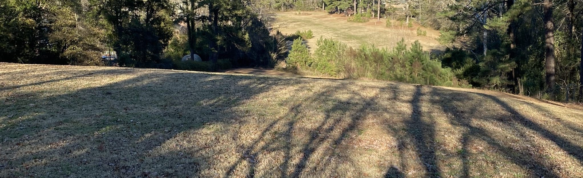 Mungo Park at Rawls Creek, South Carolina - 99 Reviews, Map | AllTrails