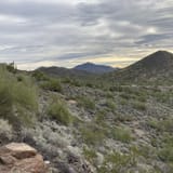 Clay Mine Trail, Arizona - 416 Reviews, Map | AllTrails
