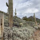 Clay Mine Trail, Arizona - 416 Reviews, Map | AllTrails
