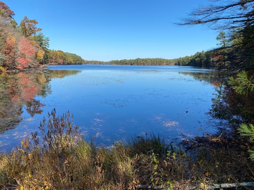 2023 Best Forest Trails in Upton State Forest | AllTrails