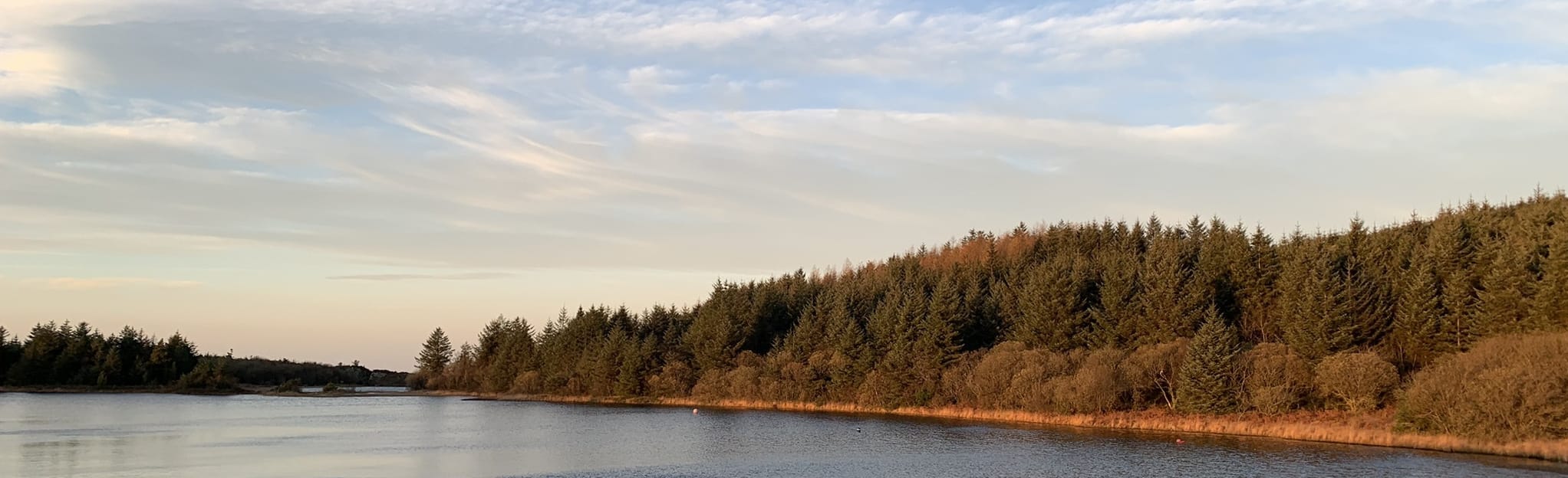 Llyn Pendam Circular, Ceredigion, Wales - 11 Reviews, Map | AllTrails