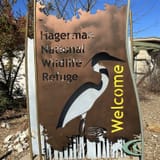 Hagerman NWR Auto Tour Route, Texas - 10 Reviews, Map | AllTrails