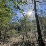 Sheldon Lake State Park Nature Loop, Texas - 245 Reviews, Map | AllTrails