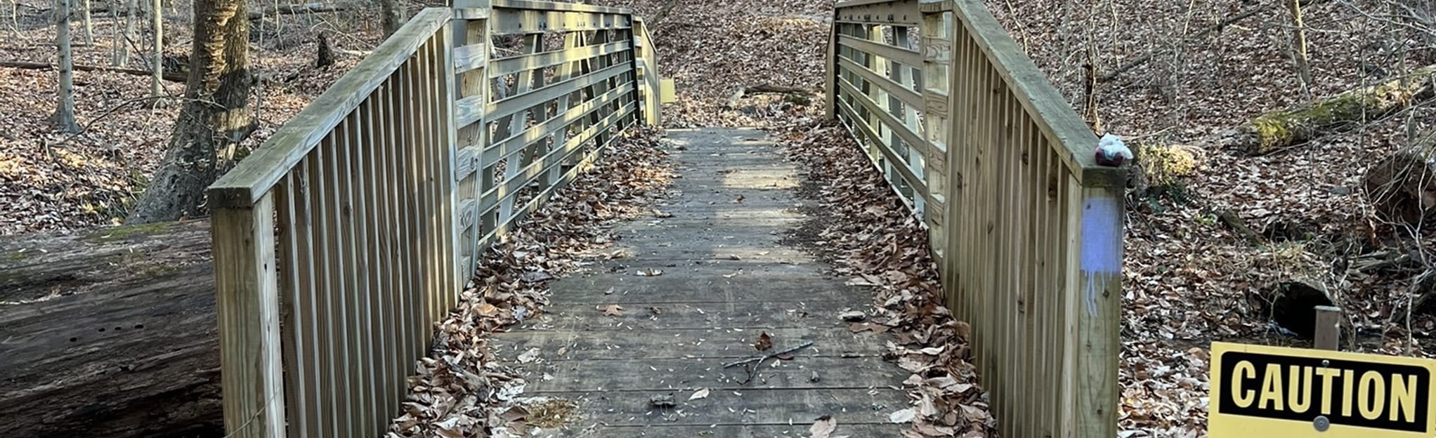 Cosca Purple Loop, Maryland - 39 Reviews, Map | AllTrails