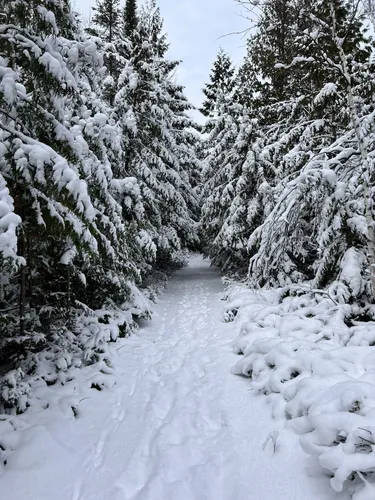 Best Hikes and Trails in Besser Natural Area | AllTrails