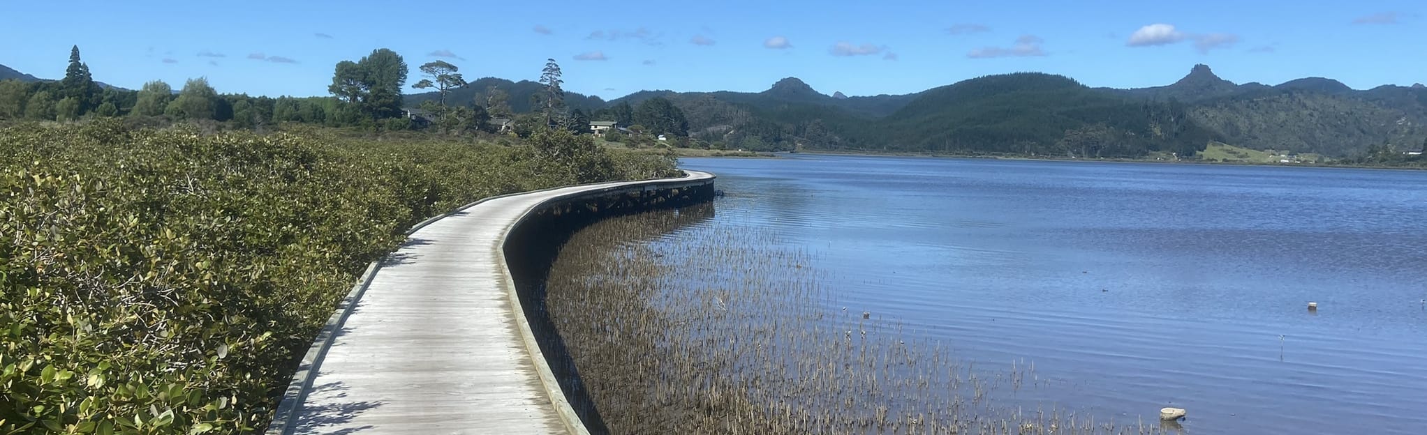 Pauanui Trail: 35 Reviews, Map - Waikato, New Zealand | AllTrails