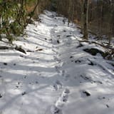 Hemphill Bald via Cataloochee Divide Trail, North Carolina - 356 ...