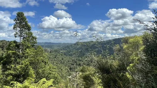 10 Best Lake Trails in Waitakere Ranges Regional Park | AllTrails