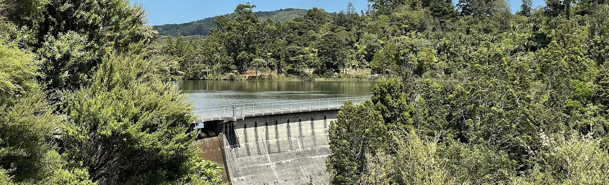 Waitakere Dam Walk, Auckland, New Zealand - 84 Reviews, Map | AllTrails