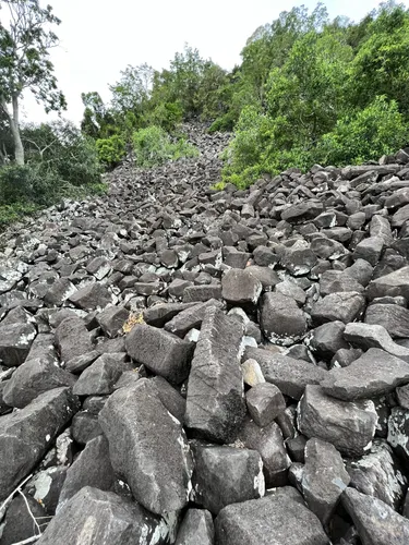 Best Hikes and Trails in Thangool | AllTrails