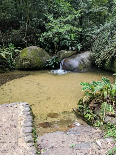 10 Best Easy Trails in Tijuca National Park | AllTrails