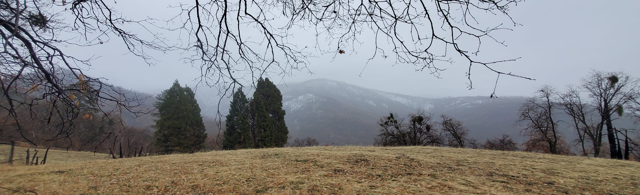 Lion Ridge Trail: 4 Reviews, Map - California | AllTrails