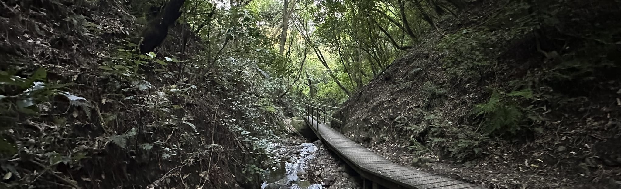 Tawa and Manawatu Gorge Tracks Loop, Manawatū-Whanganui, New Zealand ...