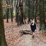 Banstead Woods Nature Circular, Surrey, England - 661 Reviews, Map ...