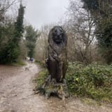 Banstead Woods Nature Circular, Surrey, England - 661 Reviews, Map ...