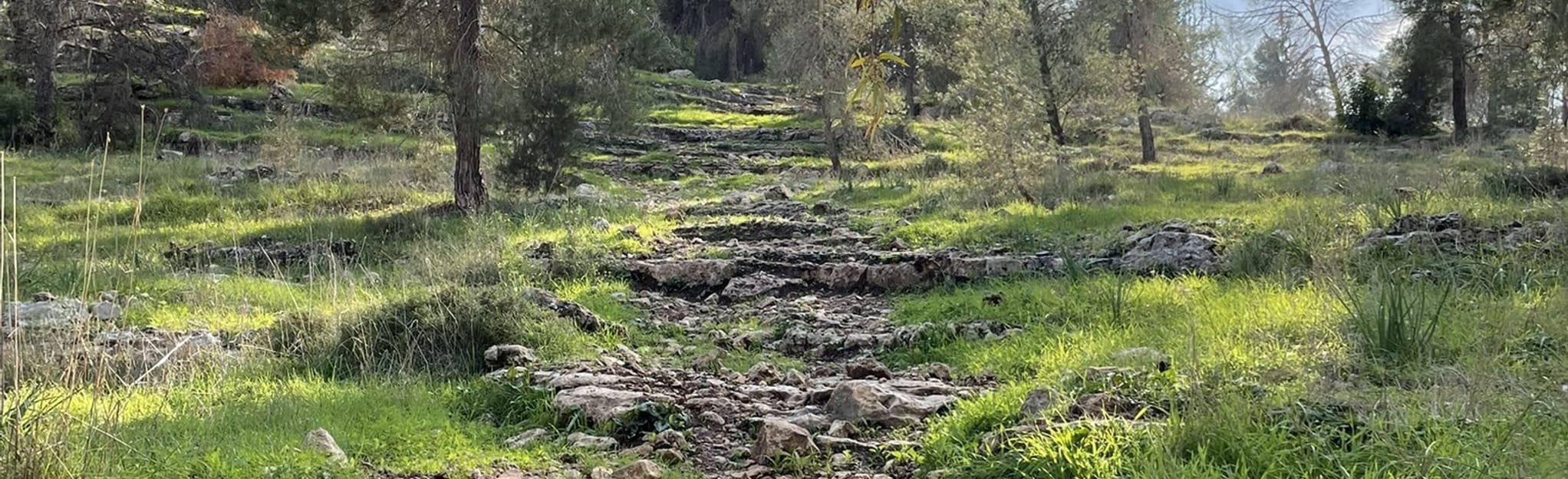 Shoham Forest and HaKoach Forest Loop, Central District HaMerkaz ...