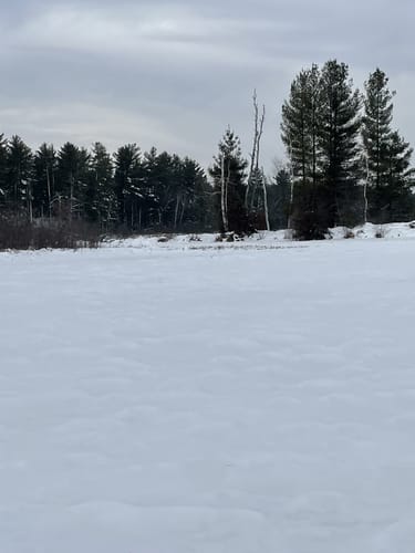 Best Hikes and Trails in Governor Earl Peshtigo River State Forest ...