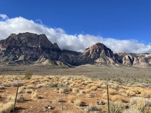 10 Best Trails and Hikes in Blue Diamond | AllTrails