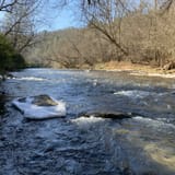 Cartecay River North Loop Trail, Georgia - 287 Reviews, Map | AllTrails